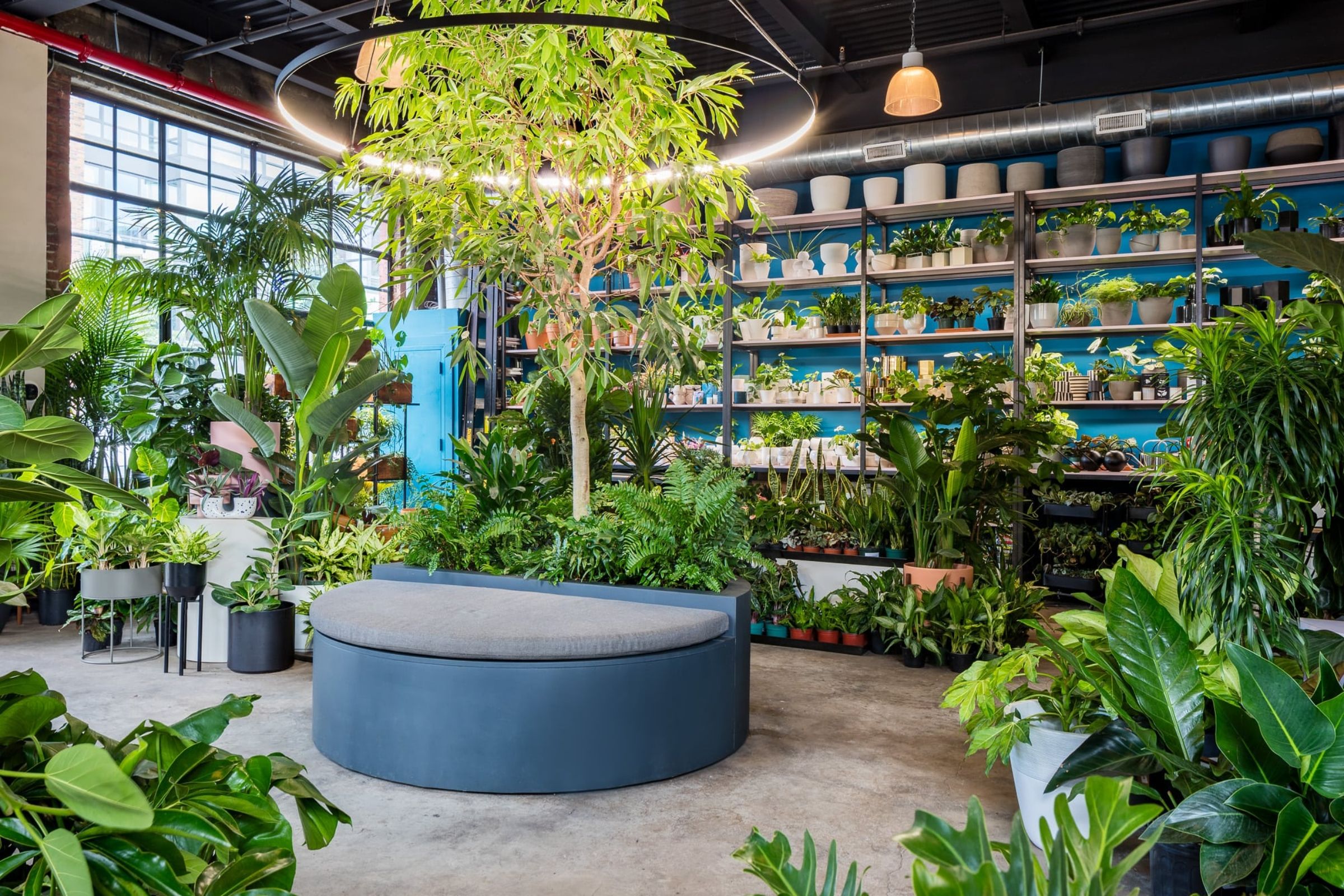 Greenery Unlimited - Greenery NYC | A Biophilic Design Company