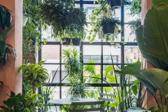 Greenery Unlimited - Greenery NYC | A Biophilic Design Company