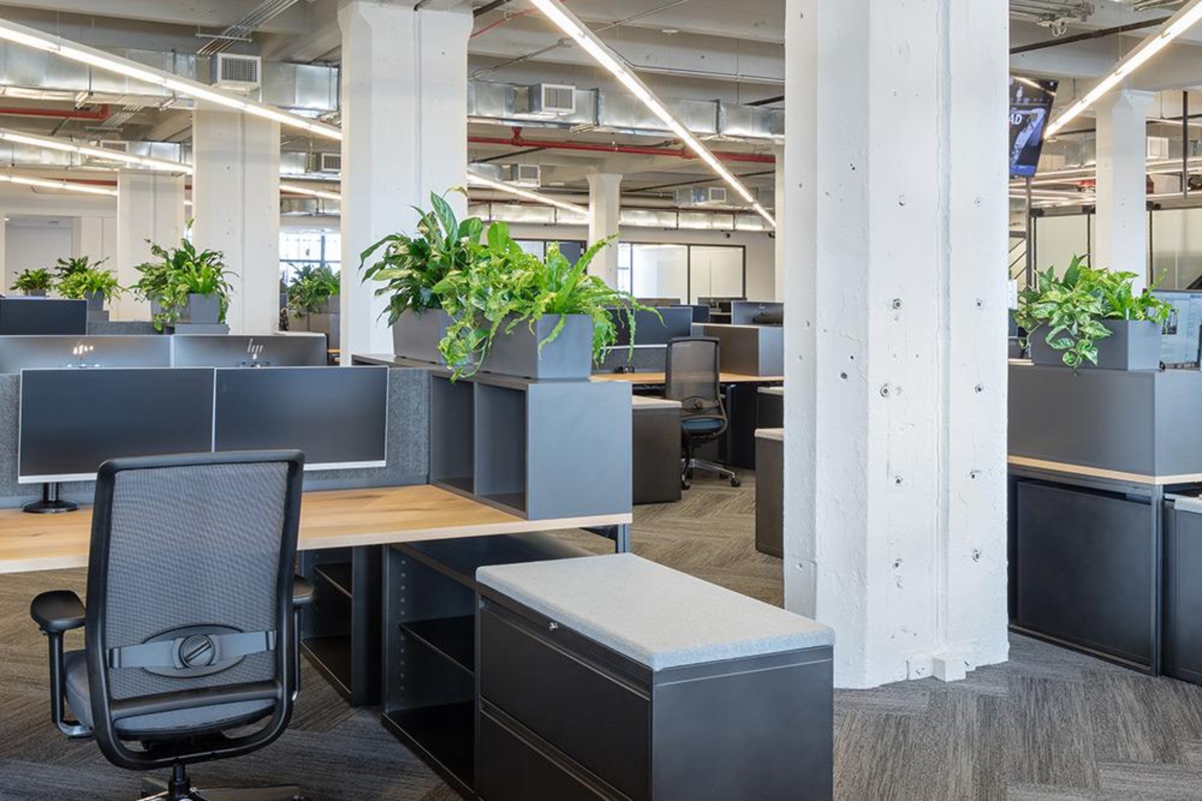 Brooklyn Sports Entertainment Global - Greenery NYC | A Biophilic ...