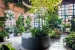 Greenery Unlimited - Greenery NYC | A Biophilic Design Company