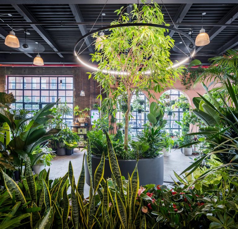Greenery Unlimited - Greenery NYC | A Botanic Design Company