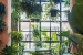Greenery Unlimited - Greenery NYC | A Biophilic Design Company