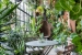 Greenery Unlimited - Greenery NYC | A Biophilic Design Company