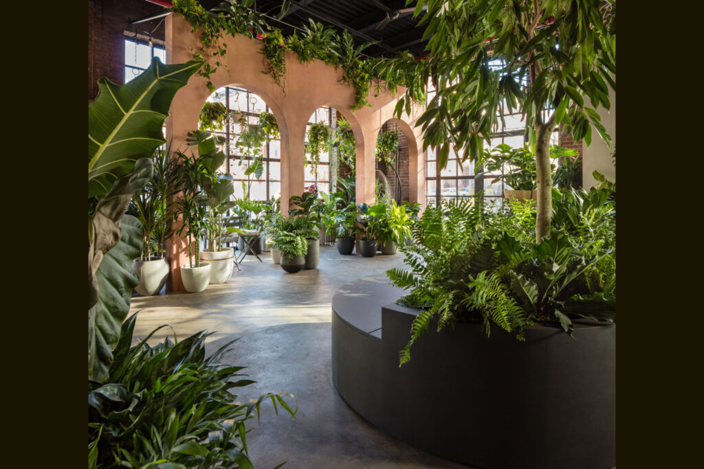 Greenery Unlimited - Greenery NYC | A Biophilic Design Company