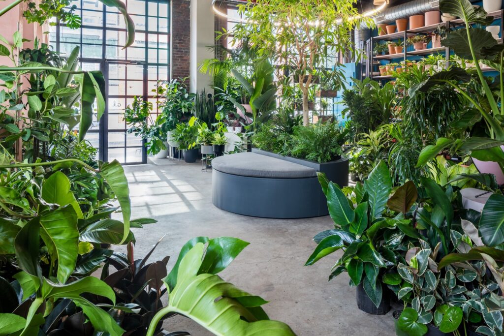 Greenery Unlimited - Greenery NYC | A Biophilic Design Company