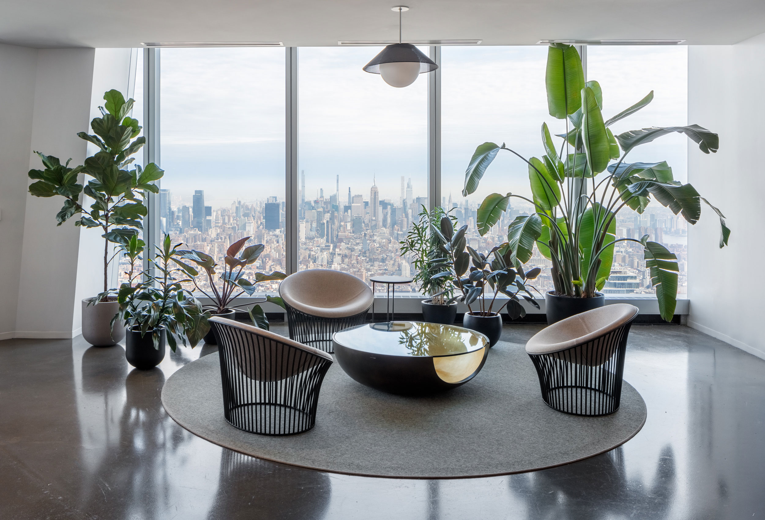 Office Plants - Greenery NYC | A Botanic Design Company